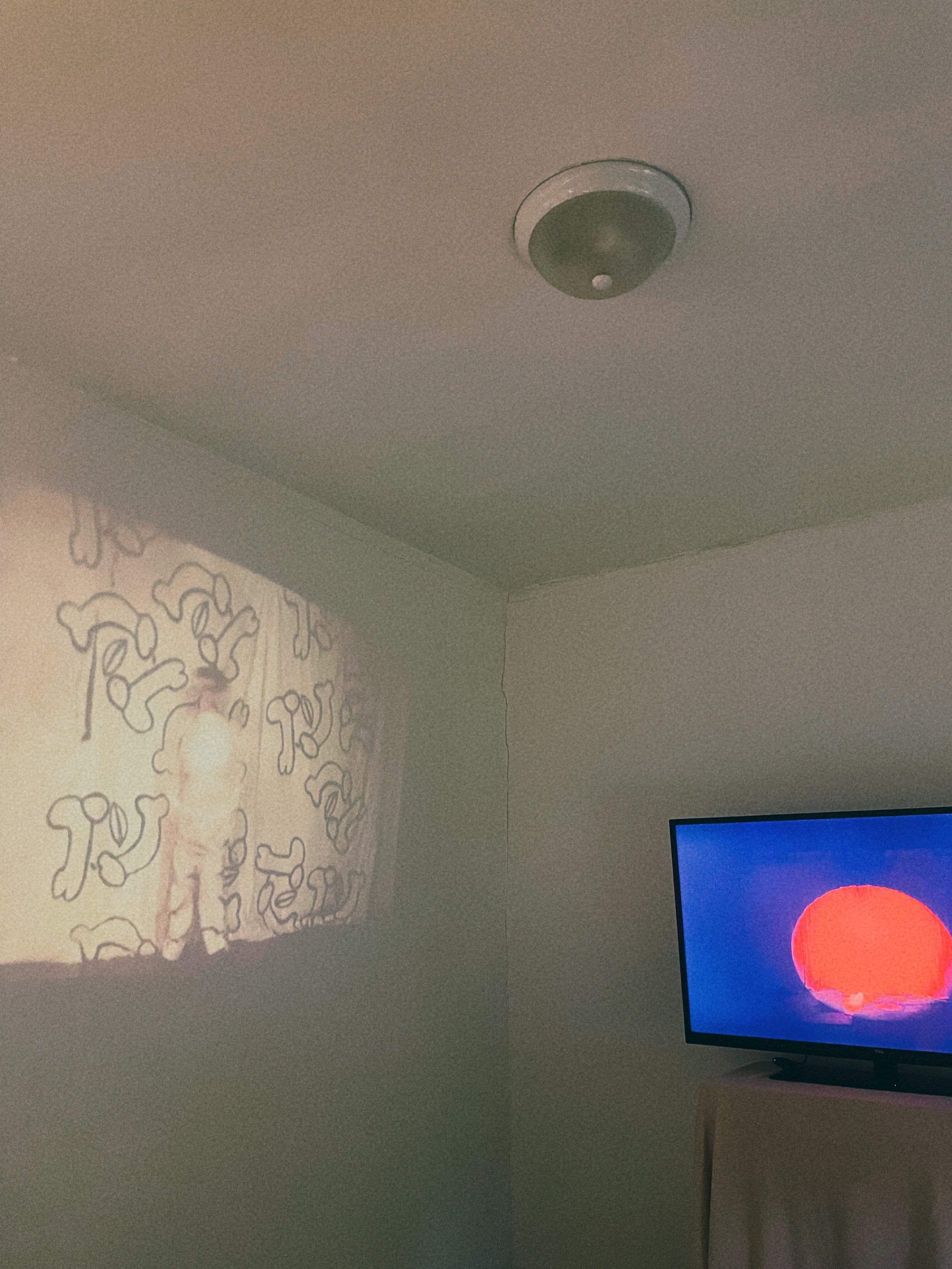 Exhibitions – The Living Room Exhibitions